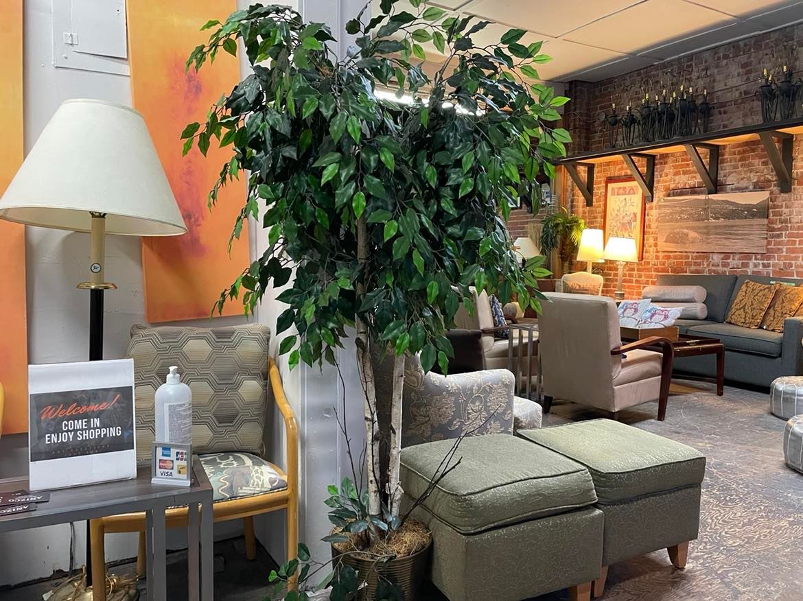 Artificial Trees in stock I Anizco Hotel Furniture Liquidators